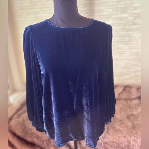 Velvet by Graham & Spencer | Tops | Velvet By Graham Spencer Royal Blue ...